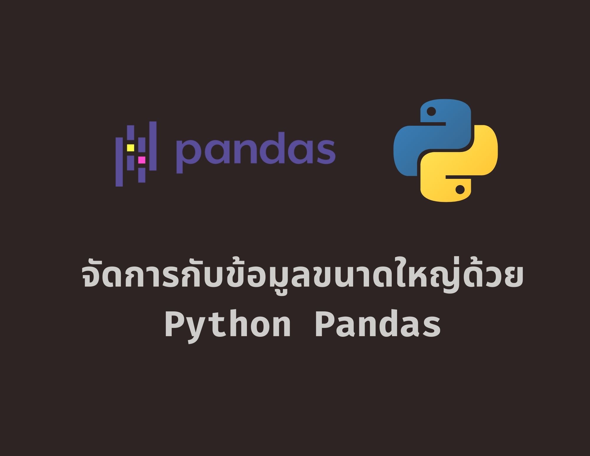 จาก Excel สู่ Pandas จัดการตารางข้อมูลด้วย Python Stackpython